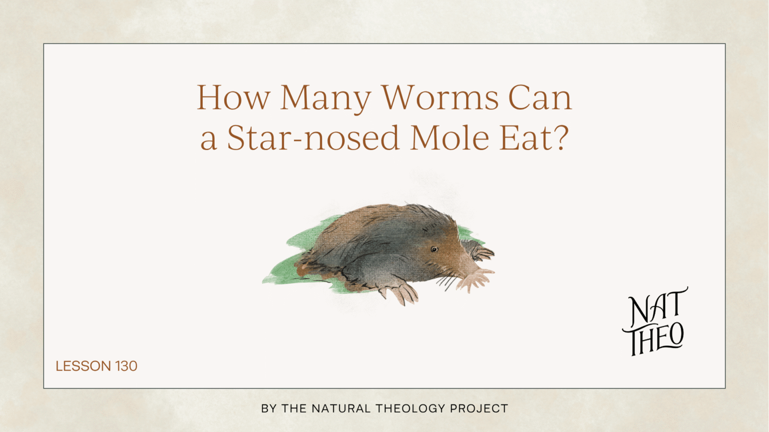 Why Do Moles Dig Tunnels?